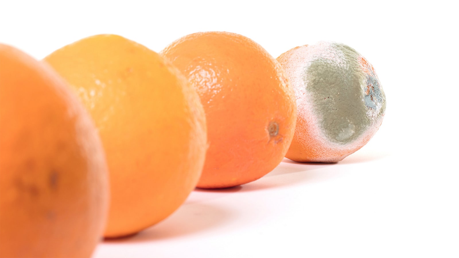 Is Vacuum Sealing Worth It? A Complete Guide - OutOfAir